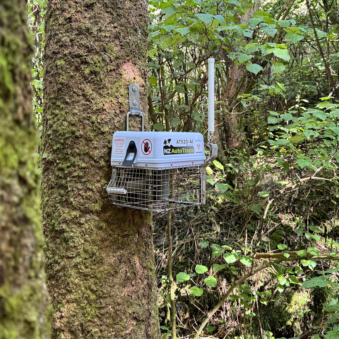 AT520-AI with species selective pest control and remote monitoring – NZ ...