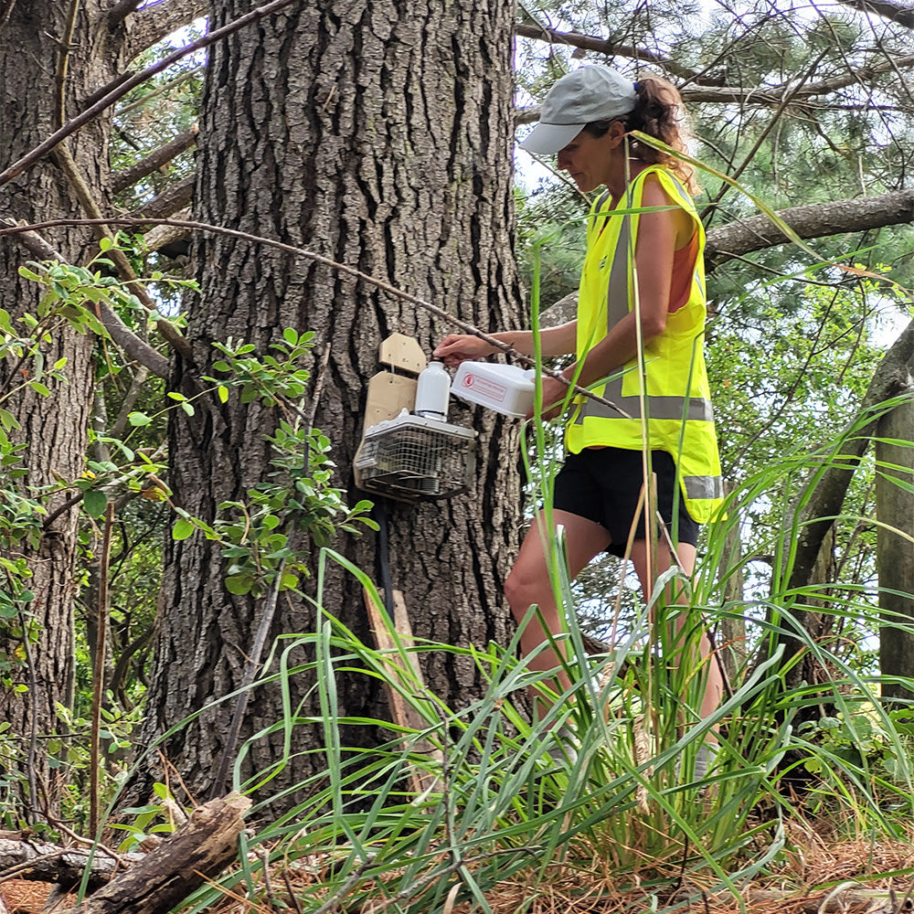 NZ AutoTraps in the Wild